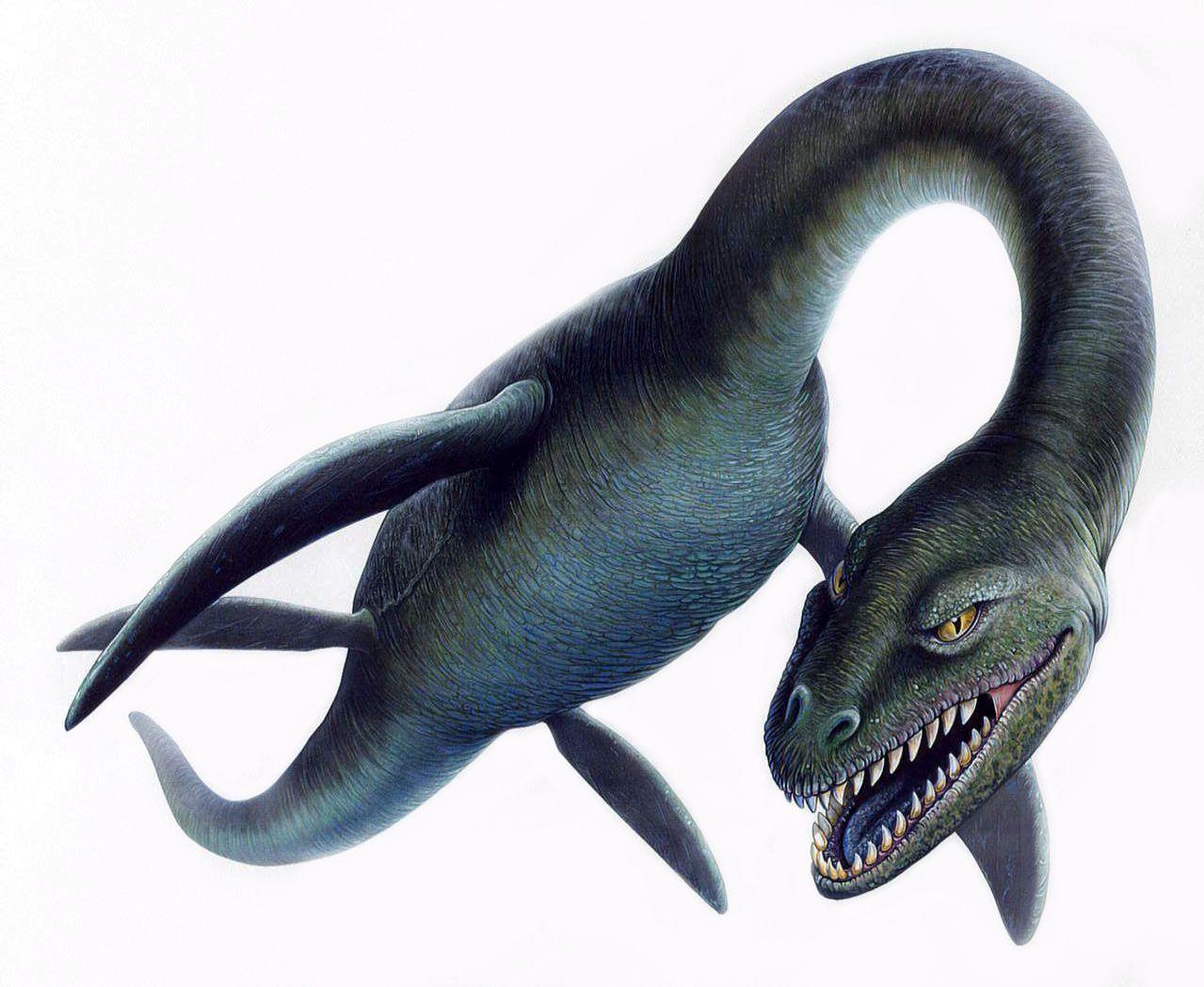 Nessie Wallpapers - Top Free Nessie Backgrounds - WallpaperAccess