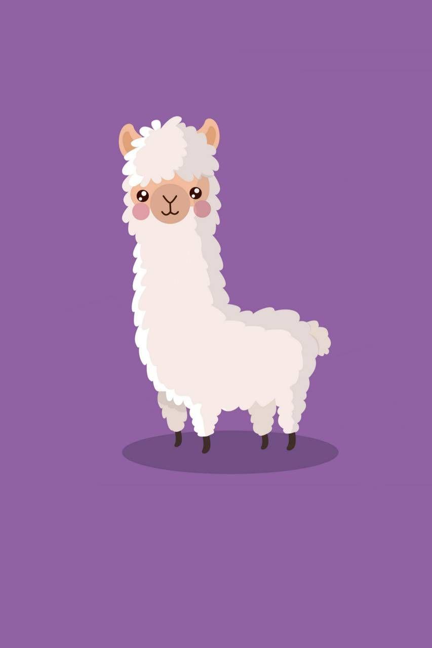 Llama HD Wallpapers - Top Free Llama HD Backgrounds - WallpaperAccess Llama HD Wallpapers - Top Free Llama HD Backgrounds - WallpaperAccess
