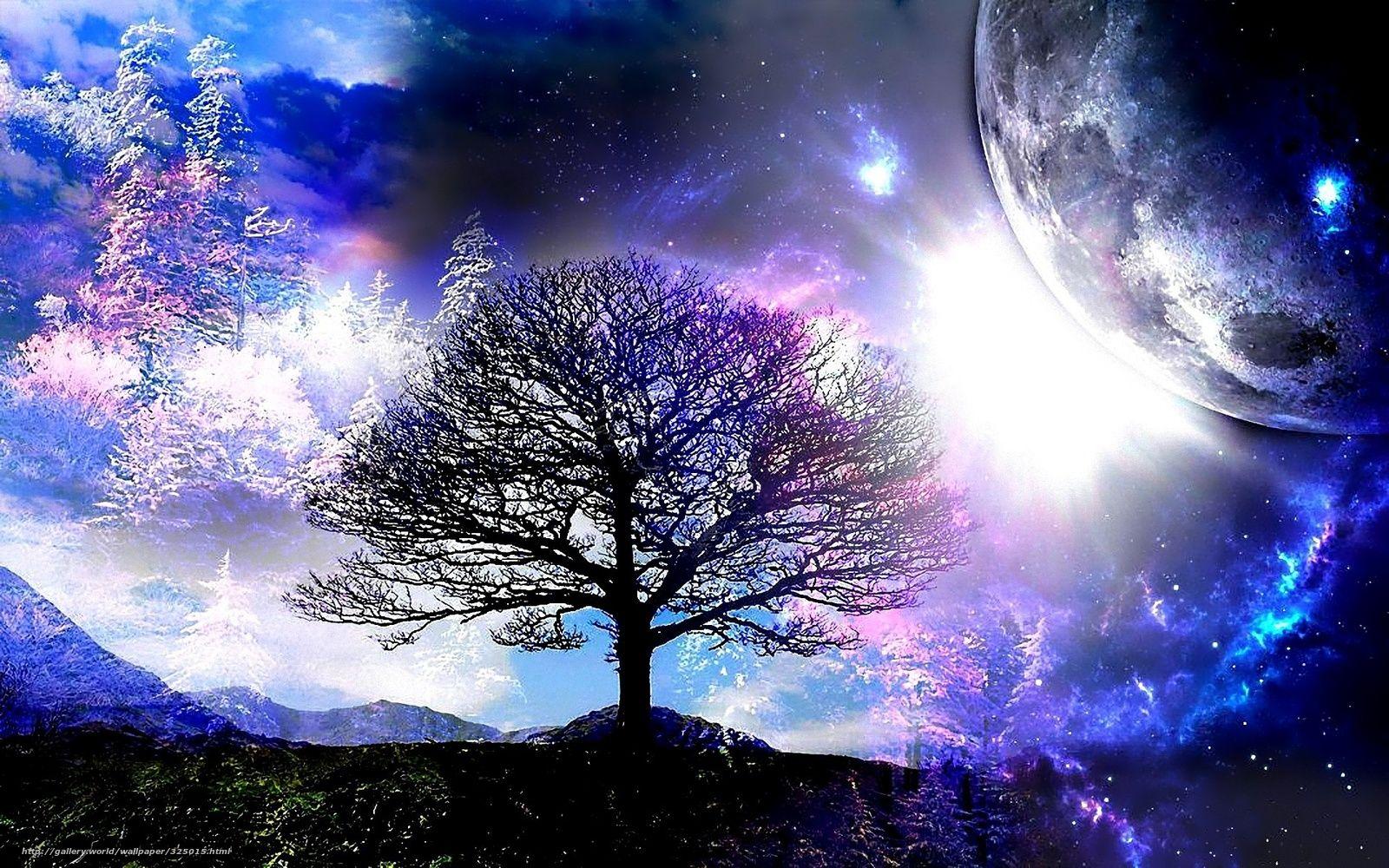 World Tree Wallpapers - Top Free World Tree Backgrounds - WallpaperAccess
