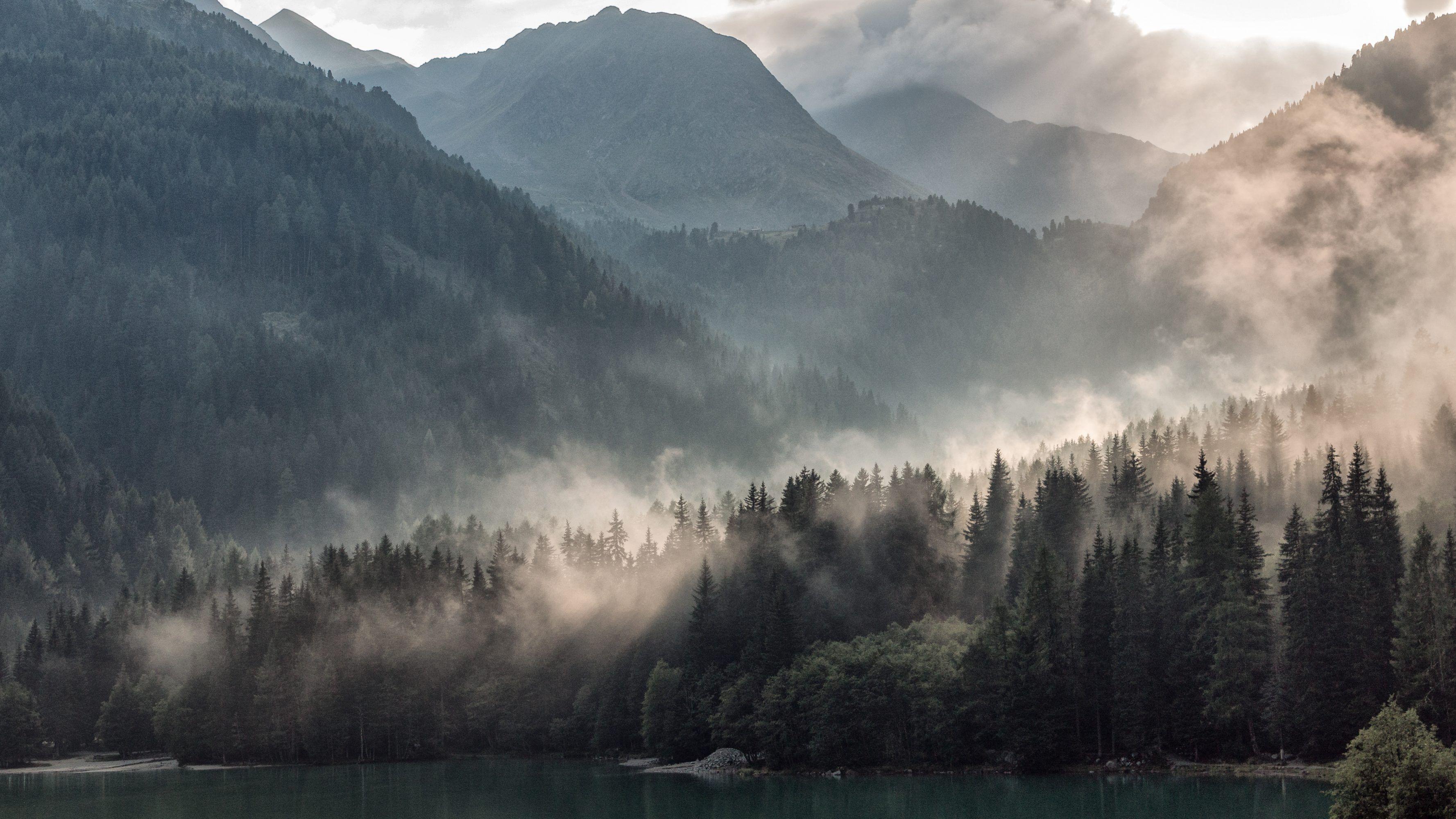 4K Ultra High Resolution Forest Wallpapers - Top Free 4K Ultra High ...