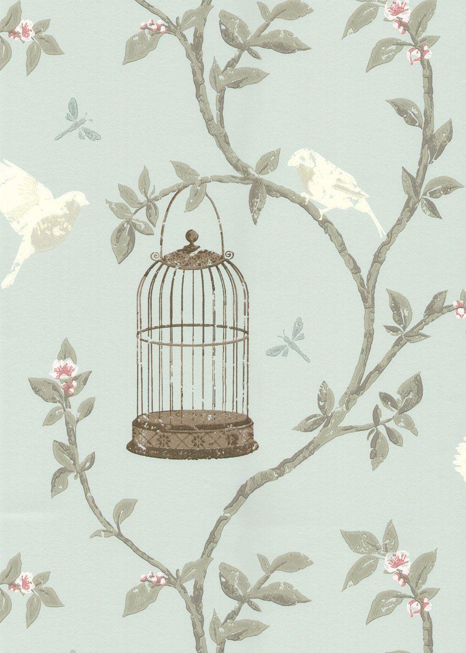 Bird Cage Wallpapers - Top Free Bird Cage Backgrounds - WallpaperAccess