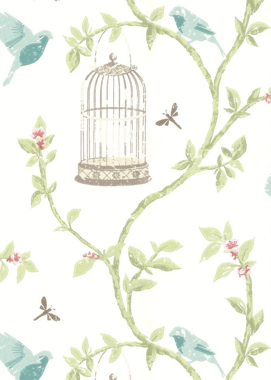 Bird Cage Wallpapers - Top Free Bird Cage Backgrounds - WallpaperAccess