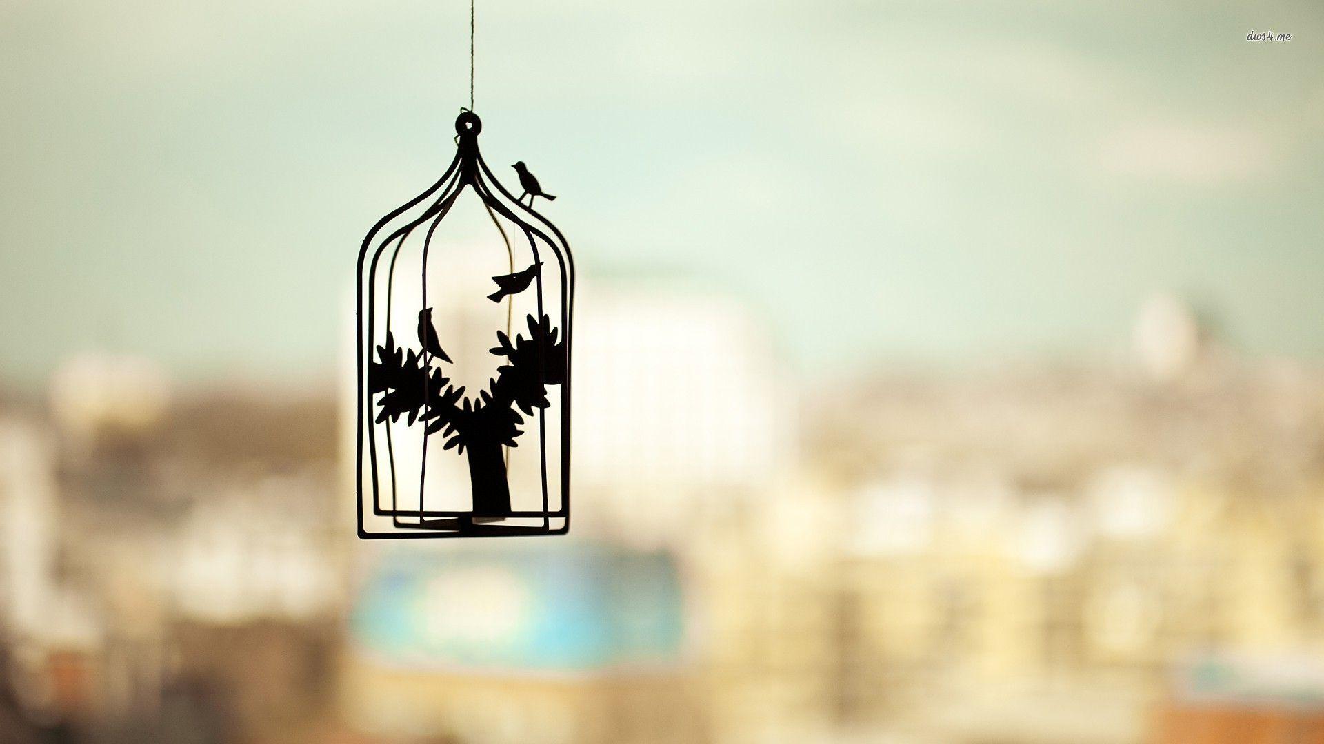 Bird Cage Wallpapers - Top Free Bird Cage Backgrounds - WallpaperAccess