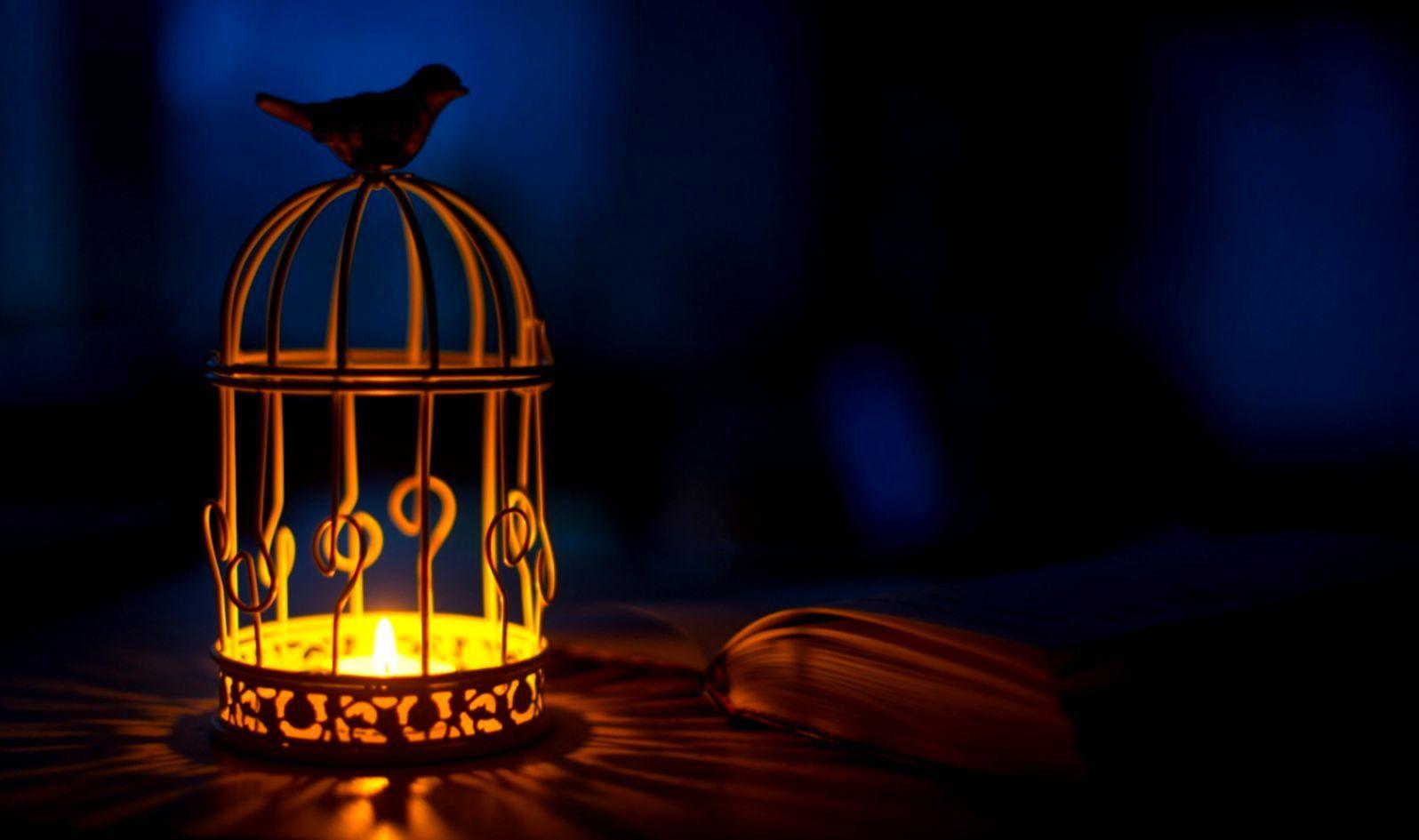 Bird Cage Wallpapers - Top Free Bird Cage Backgrounds - WallpaperAccess