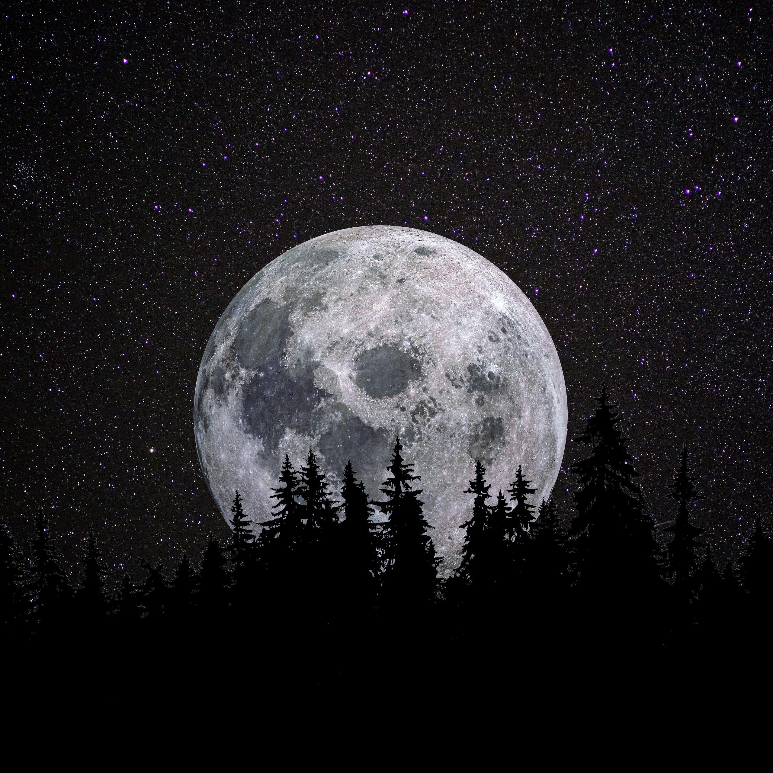 8K Moon Wallpapers - Top Free 8K Moon Backgrounds - WallpaperAccess