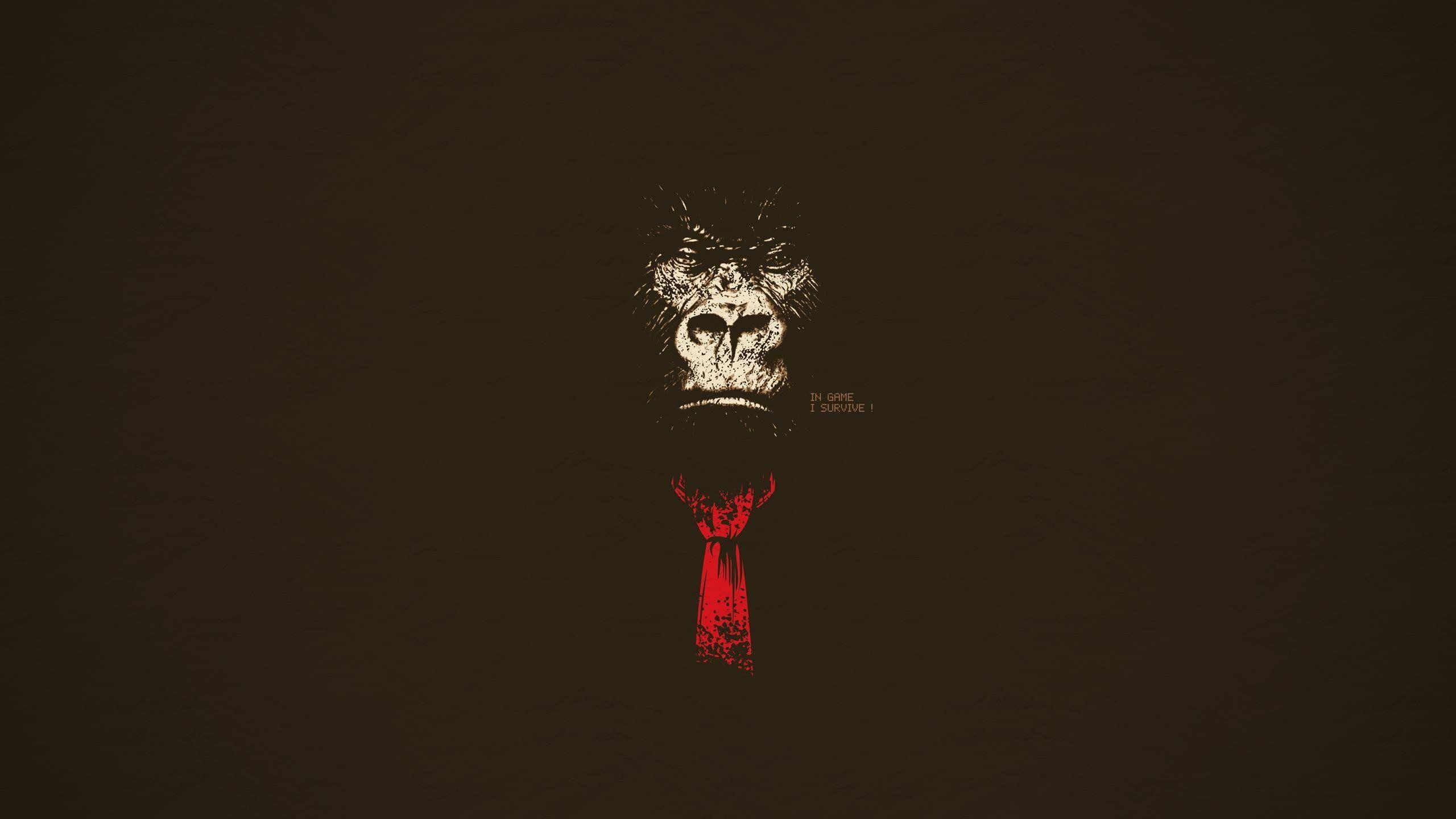 Retro Donkey Kong Wallpapers - Top Free Retro Donkey Kong Backgrounds ...