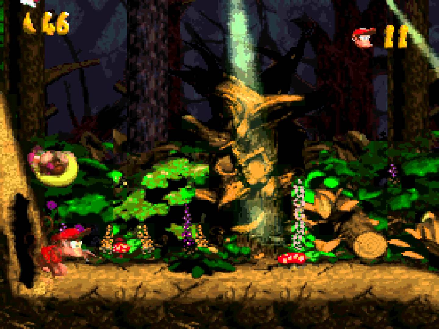 Donkey Kong Country 2 Wallpapers - Top Free Donkey Kong Country 2 ...