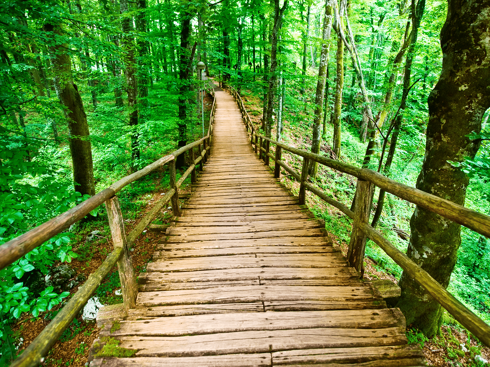 Boardwalk Wallpapers - Top Free Boardwalk Backgrounds - WallpaperAccess