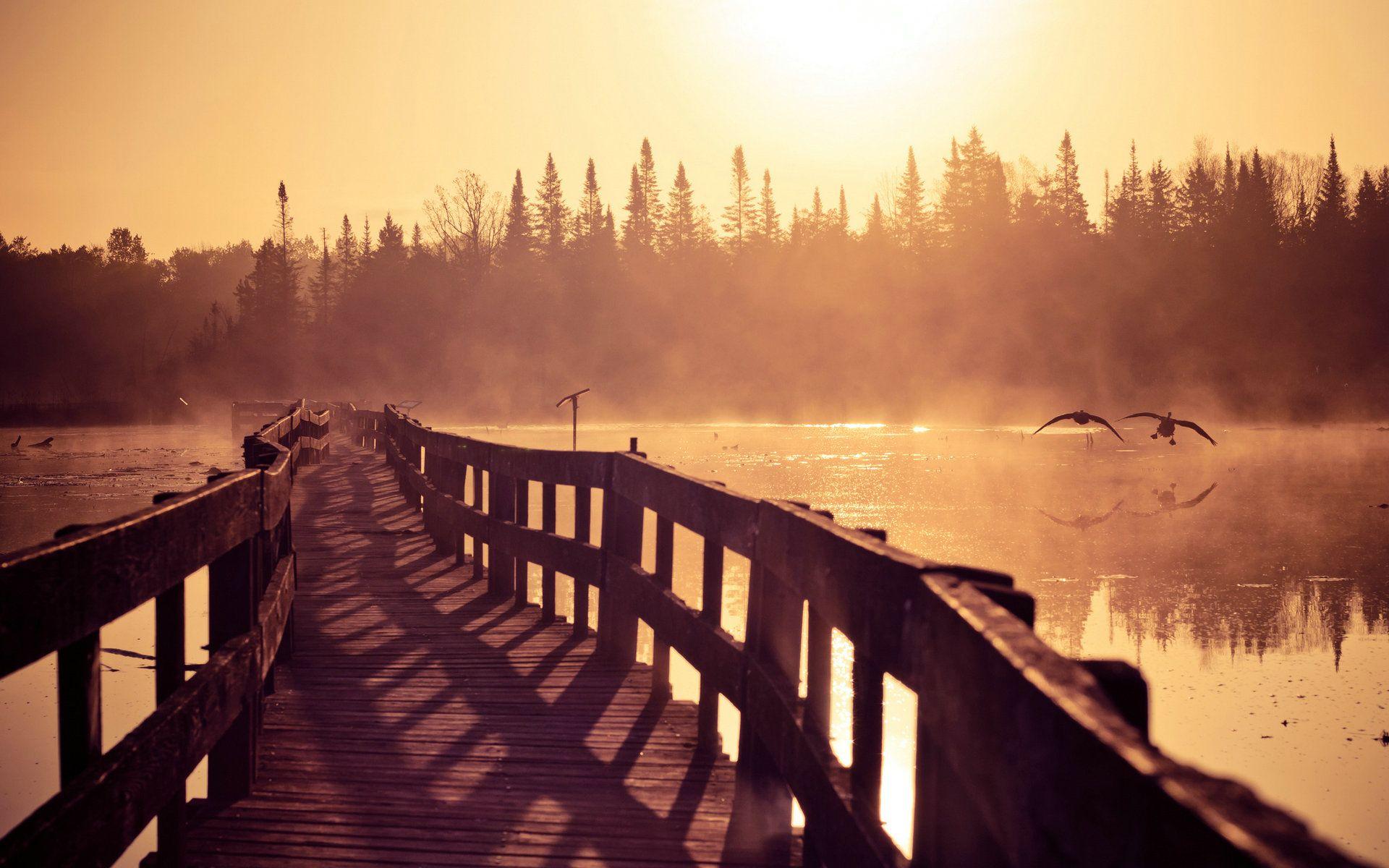 Boardwalk Wallpapers - Top Free Boardwalk Backgrounds - WallpaperAccess
