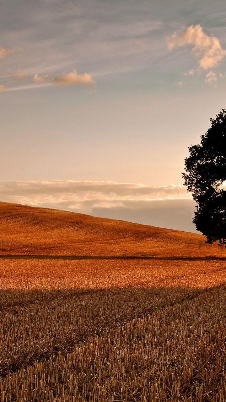 Plain Autumn Wallpapers - Top Free Plain Autumn Backgrounds ...