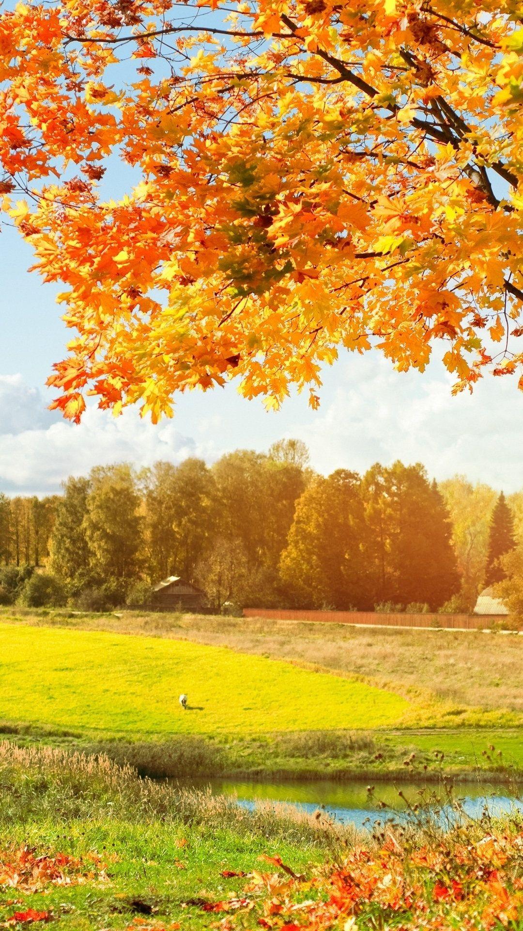 Plain Autumn Wallpapers - Top Free Plain Autumn Backgrounds ...