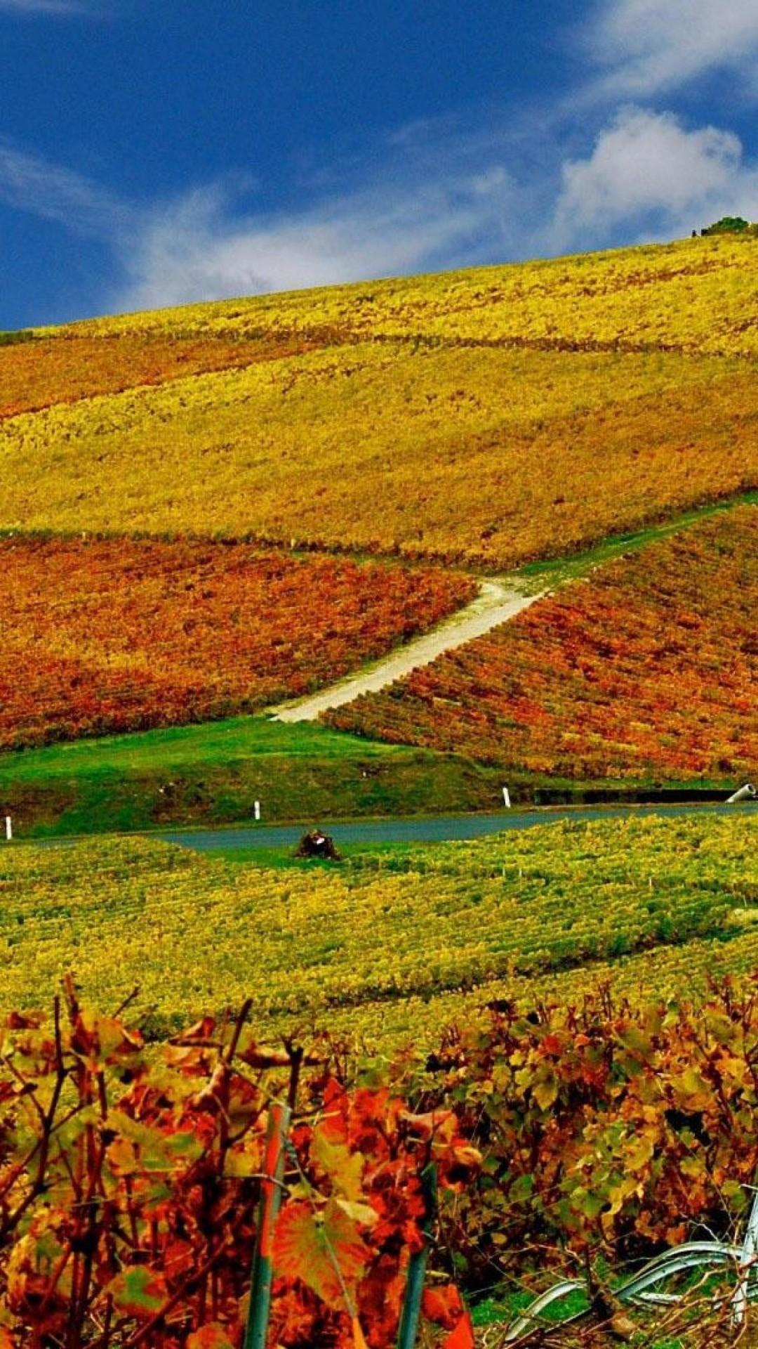 Plain Autumn Wallpapers - Top Free Plain Autumn Backgrounds ...