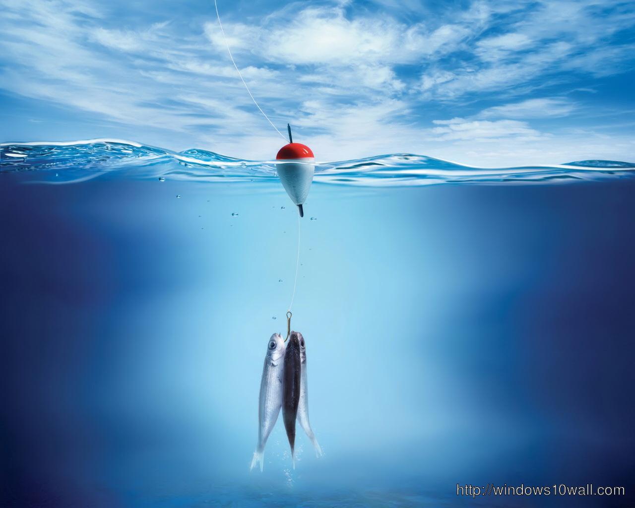 Fishing Laptop Wallpapers - Top Free Fishing Laptop Backgrounds ...