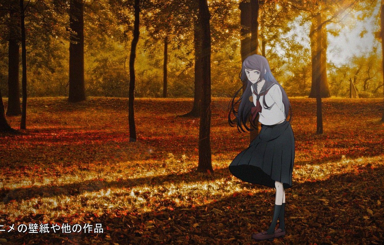 Falling Anime Wallpapers - Top Free Falling Anime Backgrounds ...