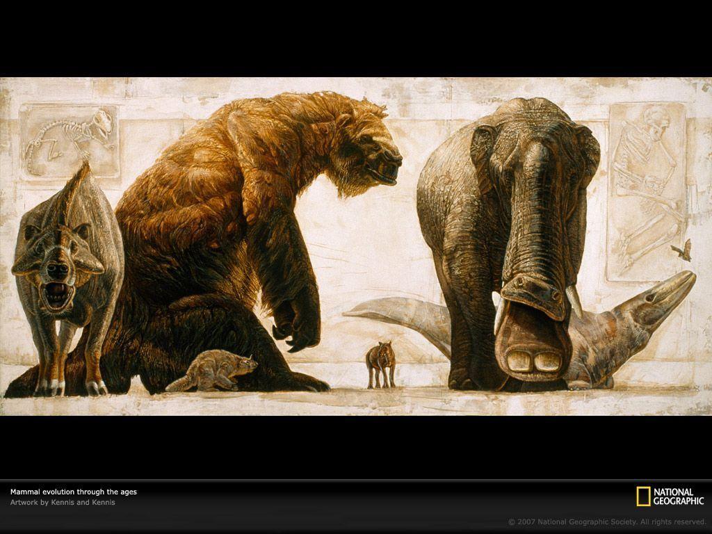 Animal Evolution Wallpapers - Top Free Animal Evolution Backgrounds ...