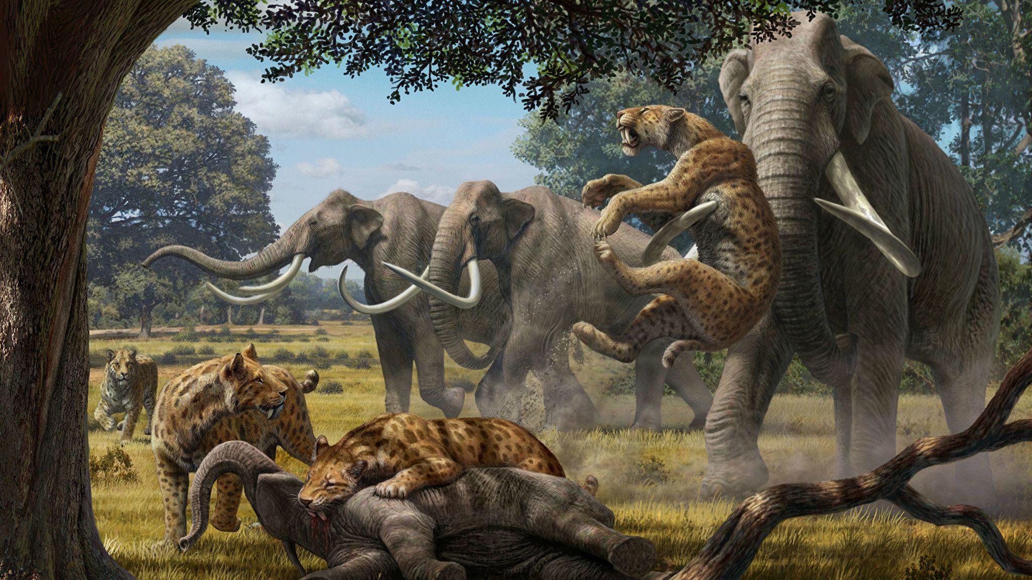 Ancient Animal Wallpapers - Top Free Ancient Animal Backgrounds ...