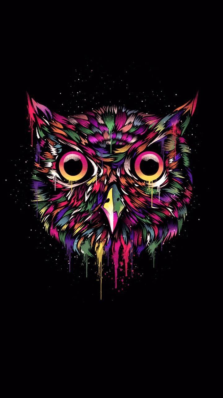 Neon Owl Wallpapers - Top Free Neon Owl Backgrounds - WallpaperAccess