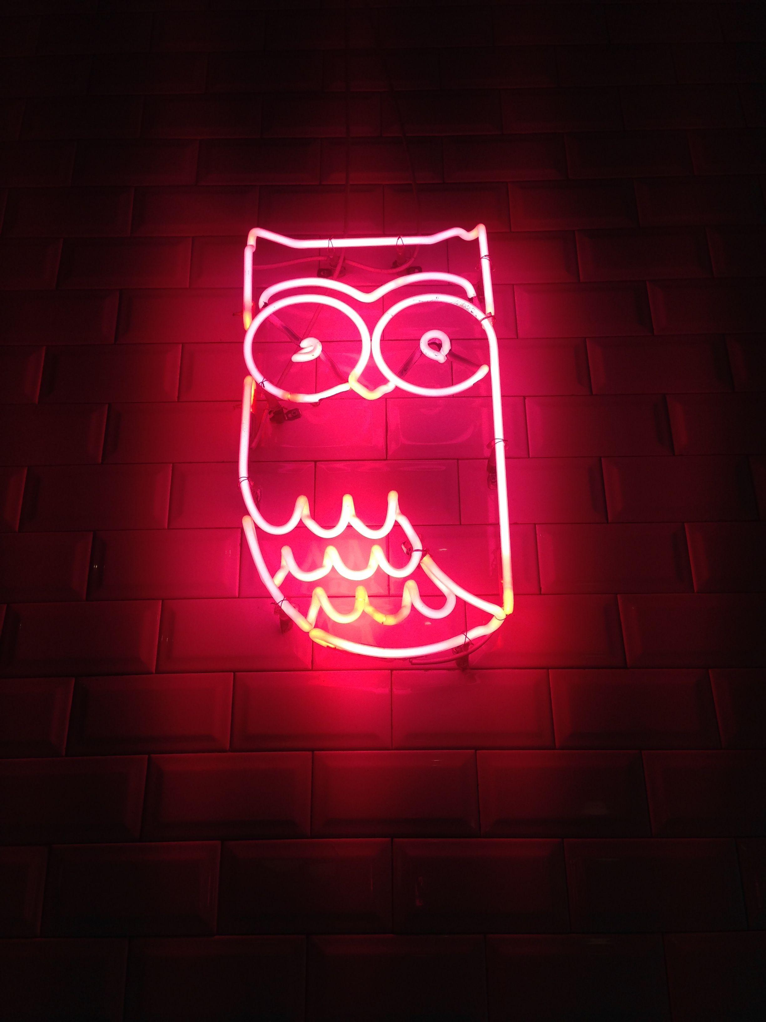 Neon Owl Wallpapers - Top Free Neon Owl Backgrounds - WallpaperAccess