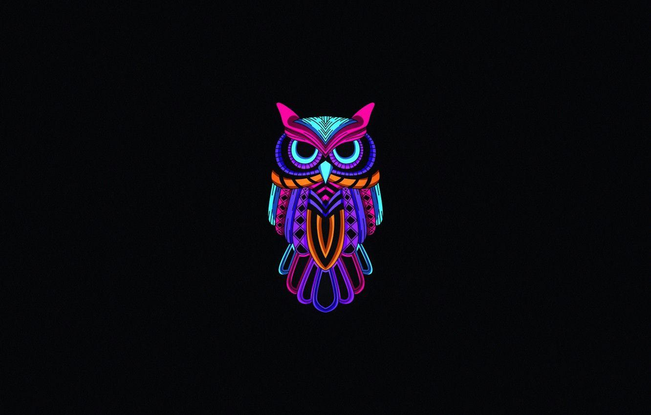 Neon Owl Wallpapers - Top Free Neon Owl Backgrounds - WallpaperAccess
