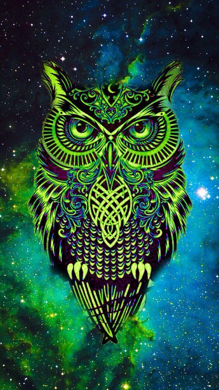 Neon Owl Wallpapers - Top Free Neon Owl Backgrounds - WallpaperAccess