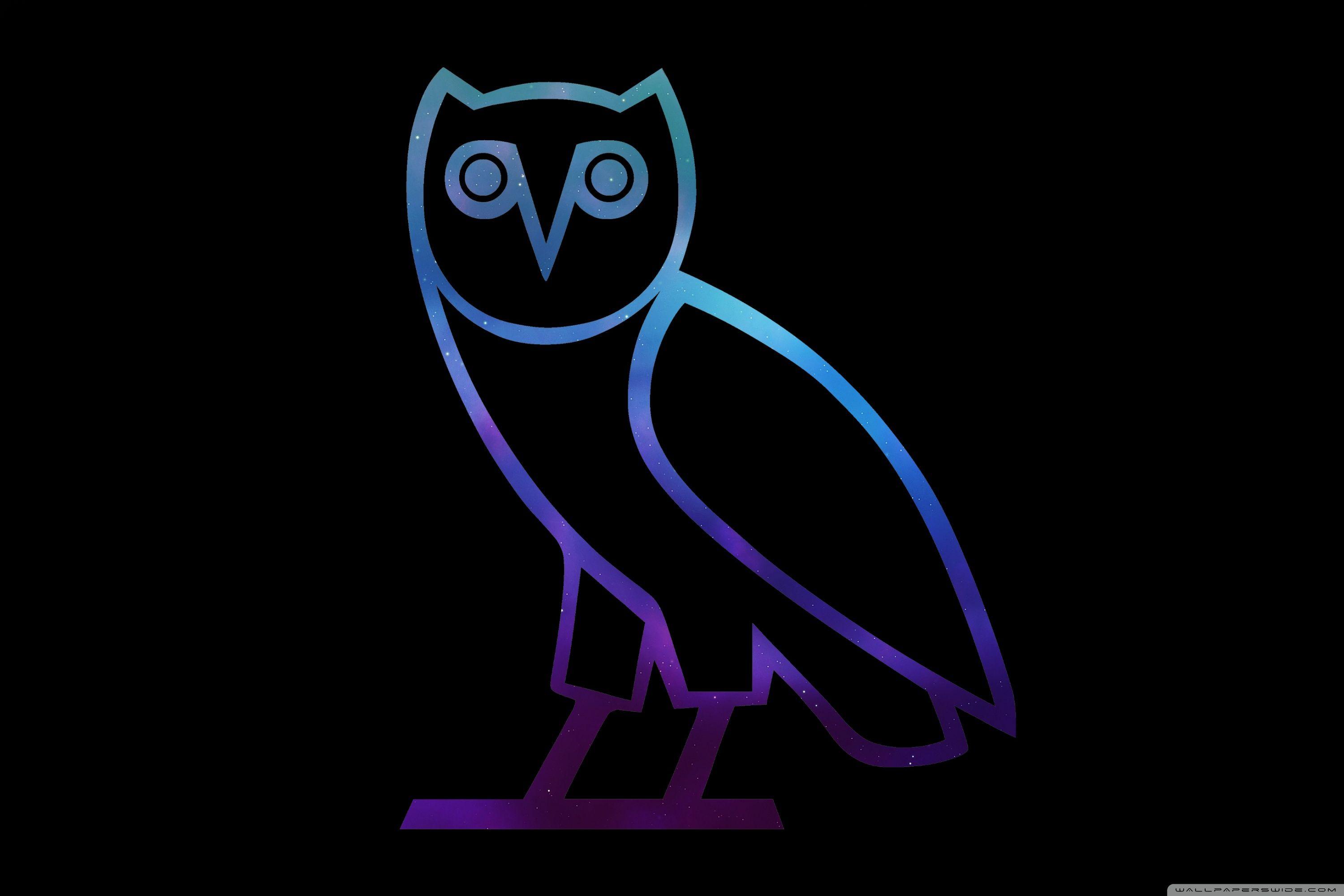 Neon Owl Wallpapers - Top Free Neon Owl Backgrounds - WallpaperAccess