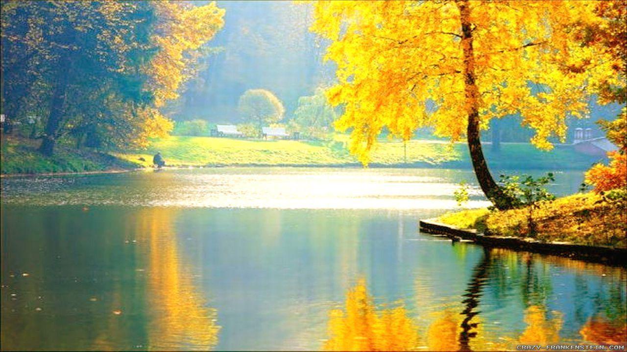 Beautiful Wallpapers - Top Free Beautiful Backgrounds - WallpaperAccess