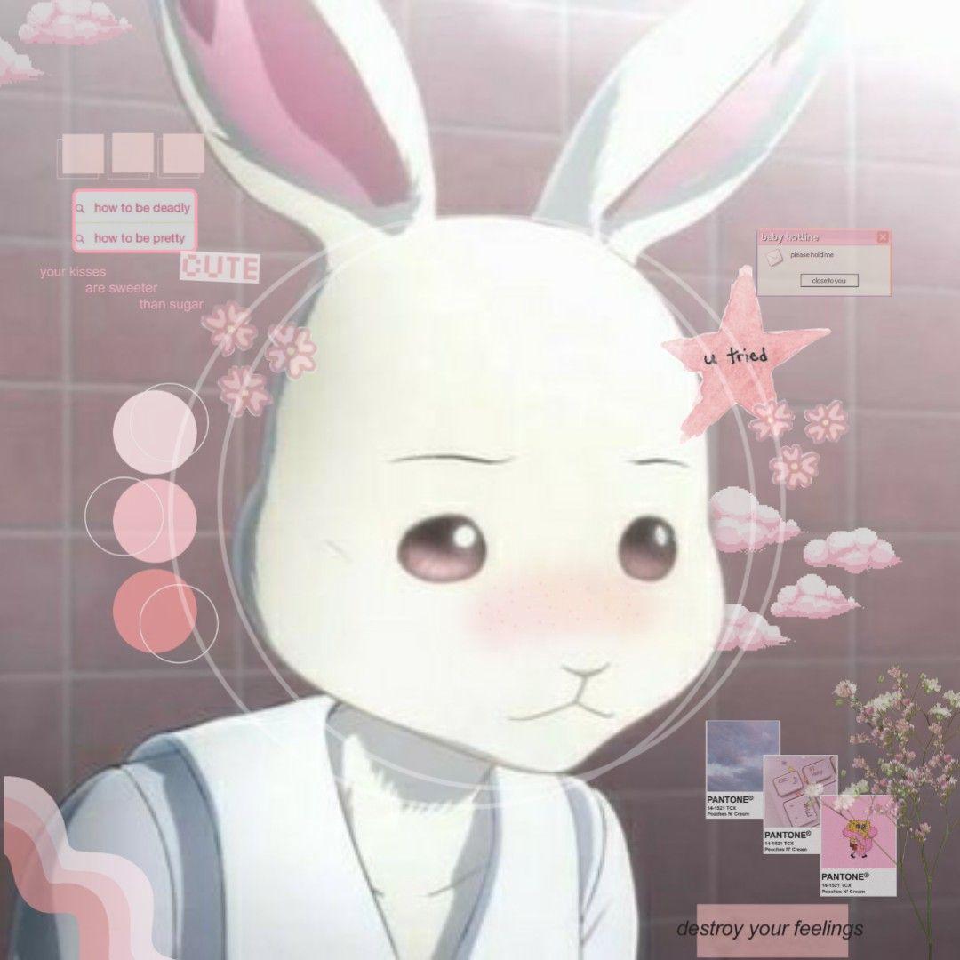 Rabbit Anime Wallpapers - Top Free Rabbit Anime Backgrounds ...