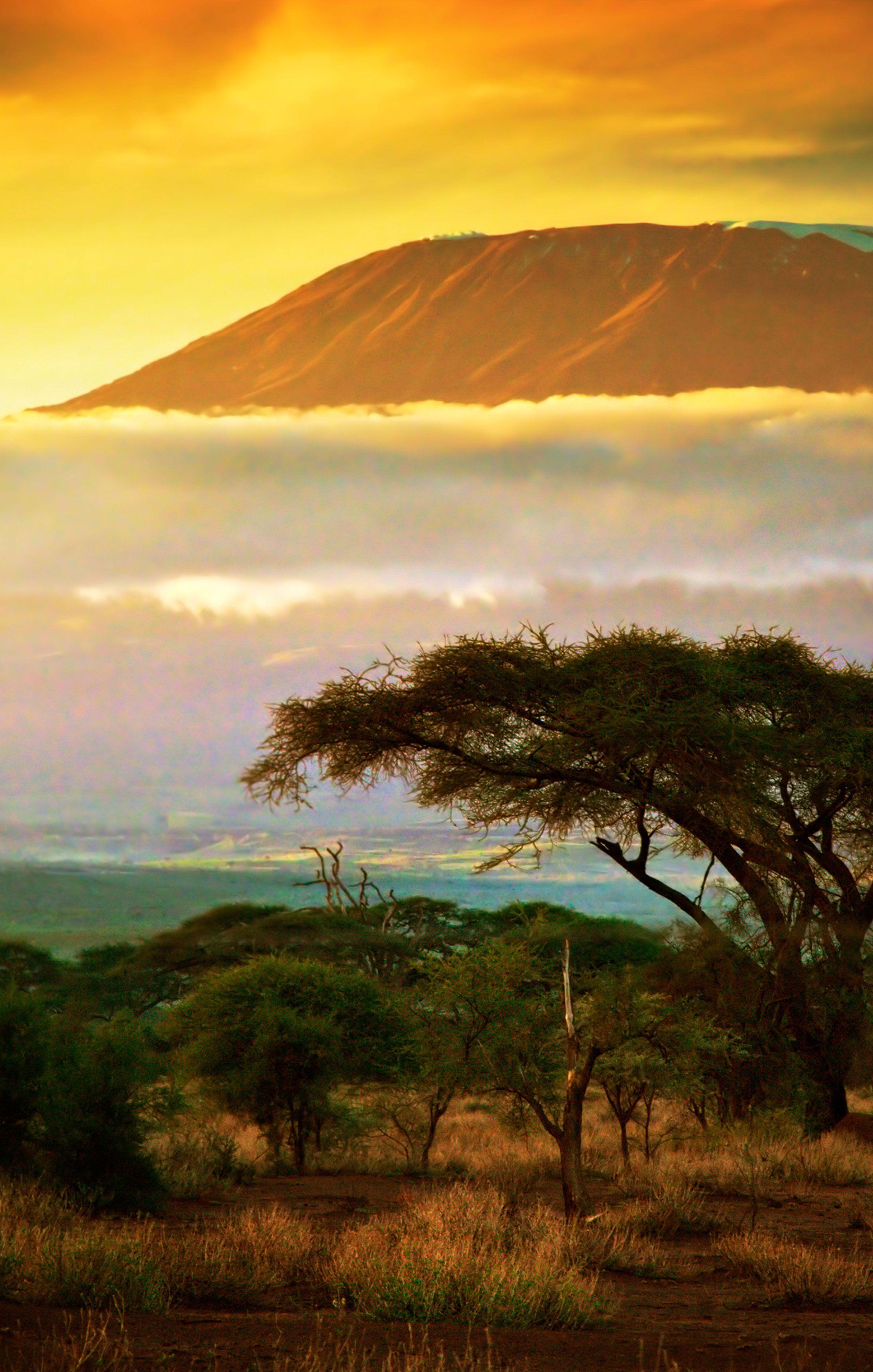 Mount Kenya Wallpapers - Top Free Mount Kenya Backgrounds - WallpaperAccess