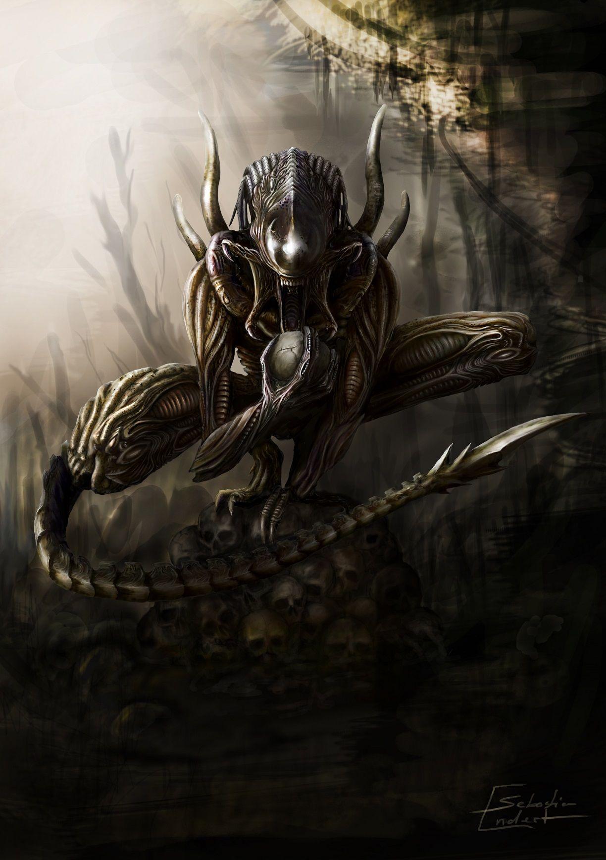 Predalien Wallpapers - Top Free Predalien Backgrounds - WallpaperAccess