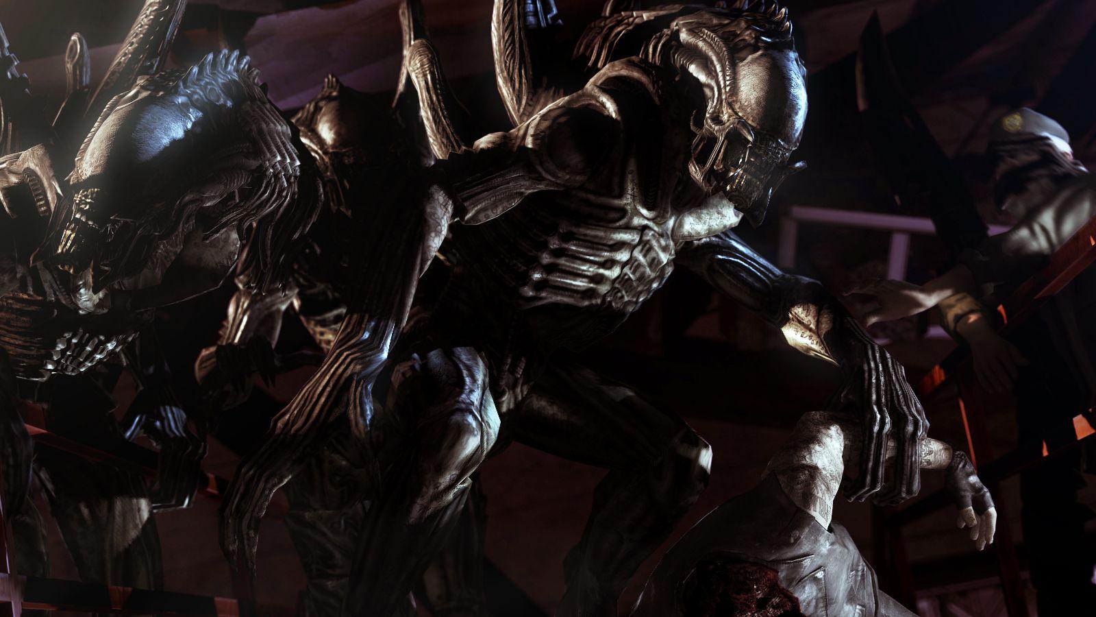 Predalien Wallpapers - Top Free Predalien Backgrounds - WallpaperAccess