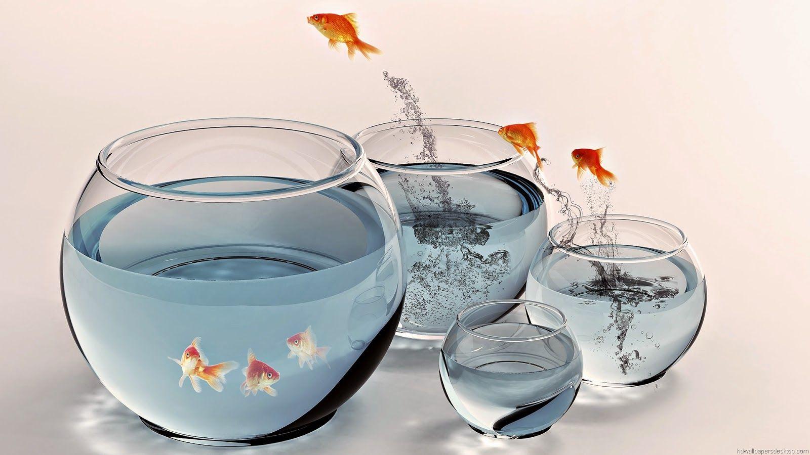 Clear 3D Wallpapers - Top Free Clear 3D Backgrounds - WallpaperAccess