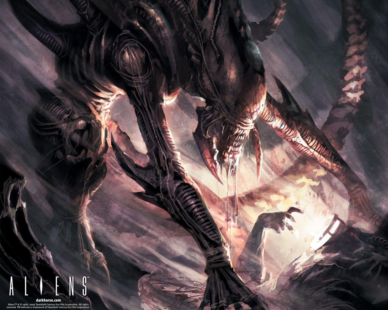 Predalien Wallpapers - Top Free Predalien Backgrounds - WallpaperAccess