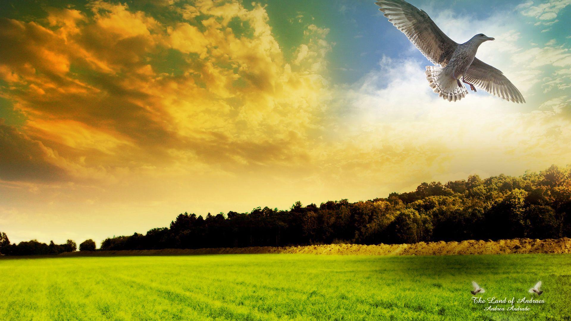 Wonderful HD Wallpapers - Top Free Wonderful HD Backgrounds ...