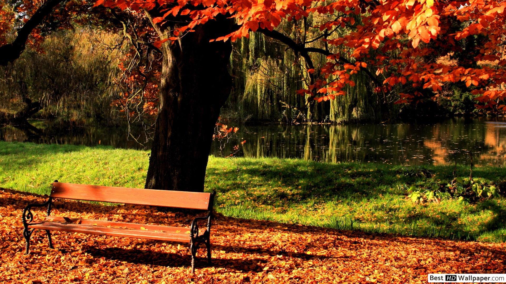 Beautiful Fall HD Wallpapers - Top Free Beautiful Fall HD Backgrounds ...