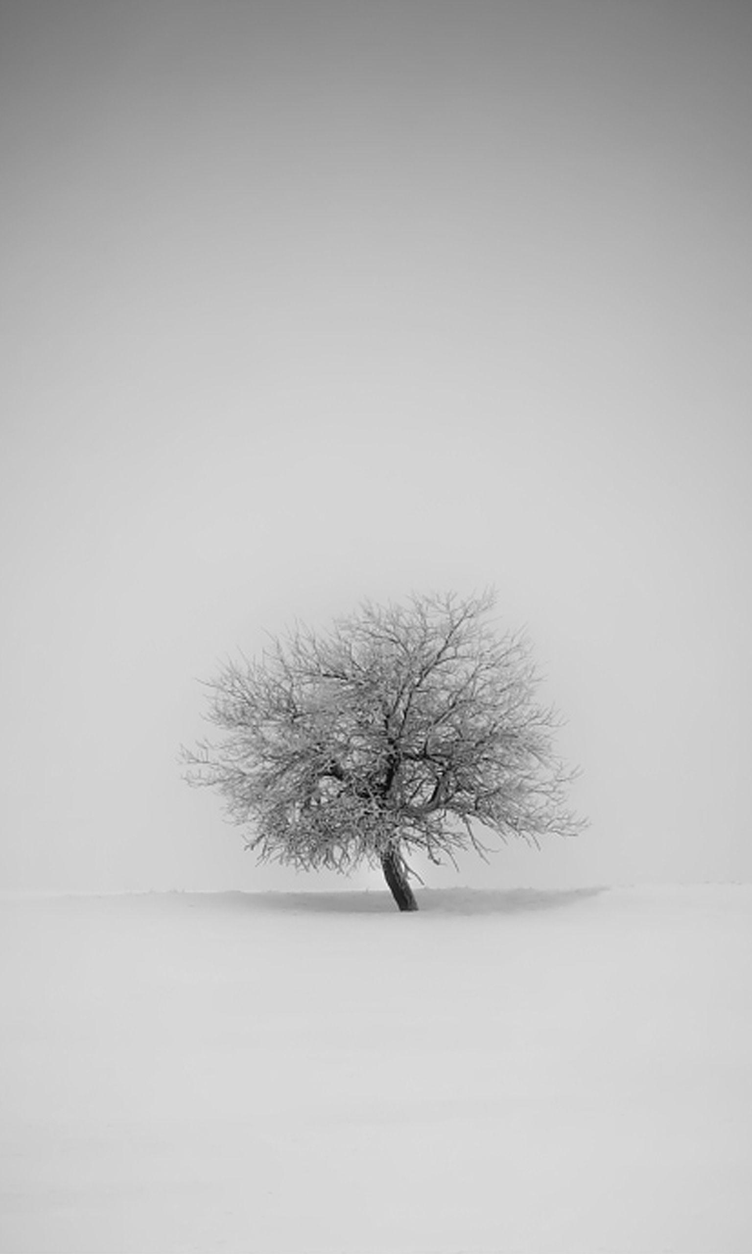 Winter Vibes Wallpapers - Top Free Winter Vibes Backgrounds ...