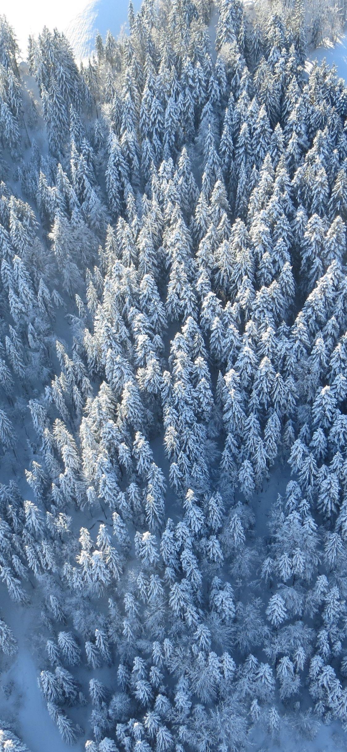 Winter Vibes Wallpapers - Top Free Winter Vibes Backgrounds ...