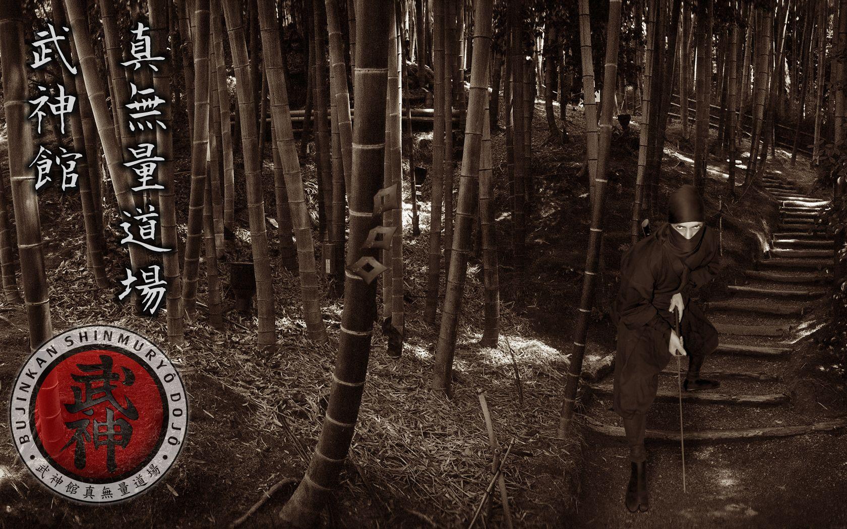 Ninjutsu Wallpapers - Top Free Ninjutsu Backgrounds - WallpaperAccess