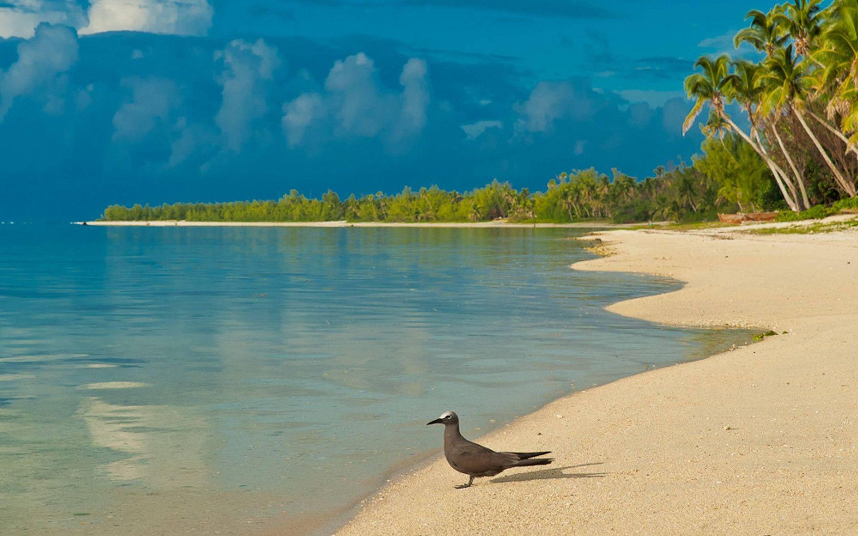 Pacific Beach Wallpapers - Top Free Pacific Beach Backgrounds ...