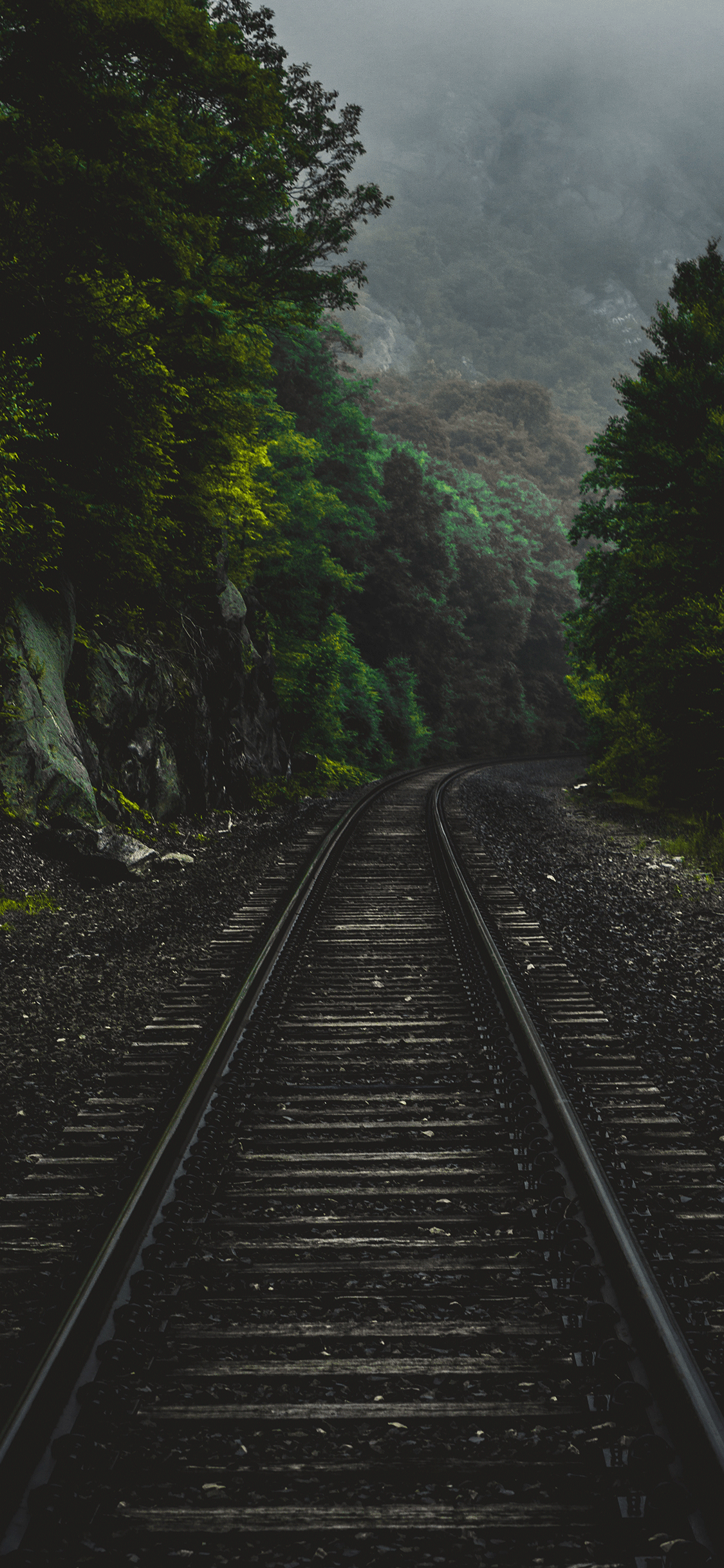 Forest HD iPhone Wallpapers - Top Free Forest HD iPhone Backgrounds ...