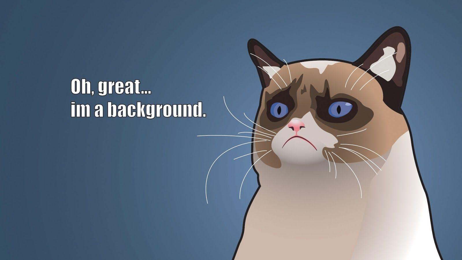 Grumpy Cat Christmas Wallpapers - Top Free Grumpy Cat Christmas ...
