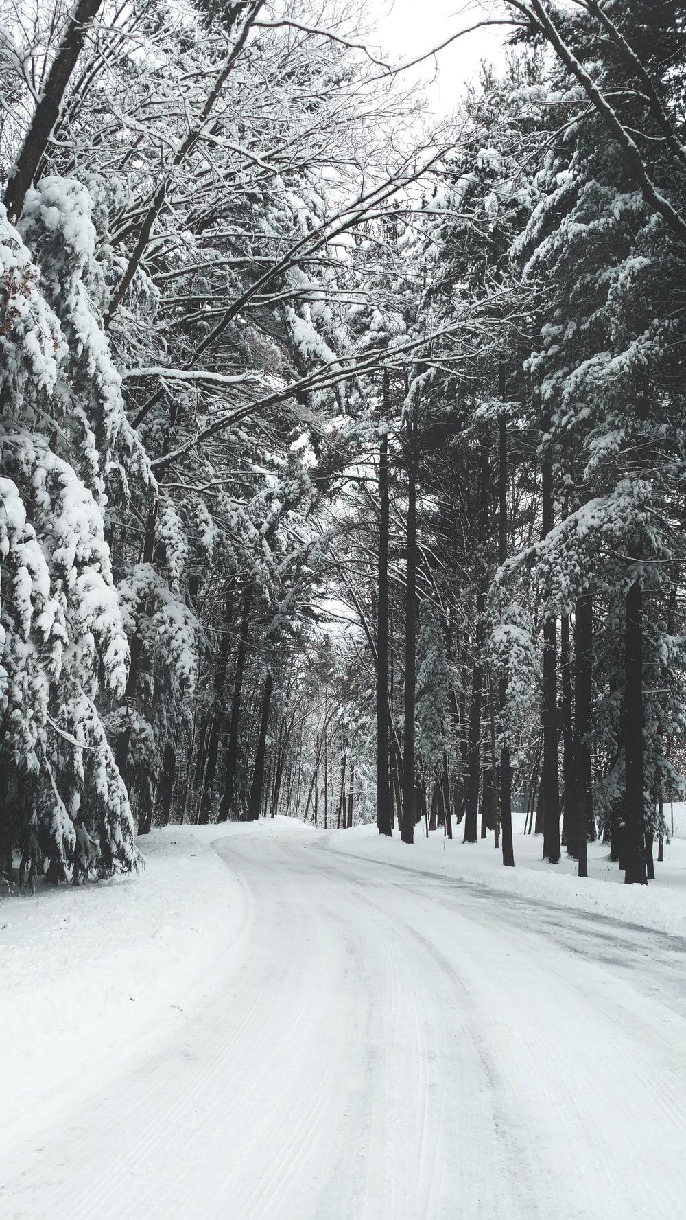 Snow Road Wallpapers - Top Free Snow Road Backgrounds - WallpaperAccess