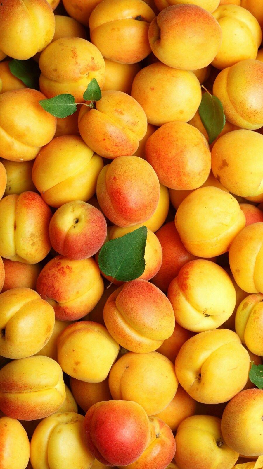 Apricot Wallpapers - Top Free Apricot Backgrounds - WallpaperAccess