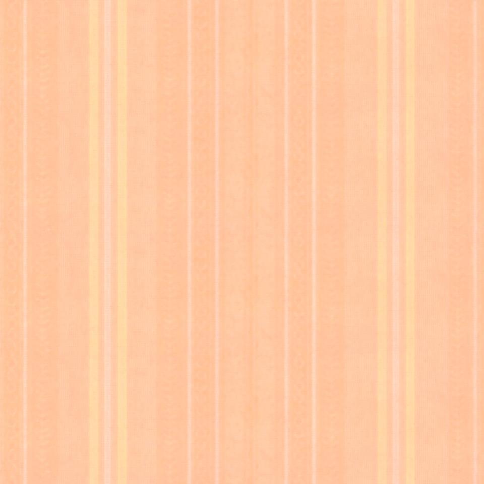 Apricot Wallpapers - Top Free Apricot Backgrounds - WallpaperAccess