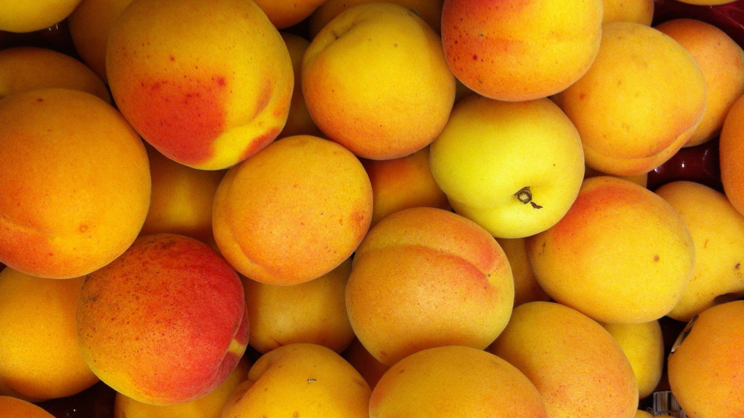 Apricot Wallpapers - Top Free Apricot Backgrounds - WallpaperAccess