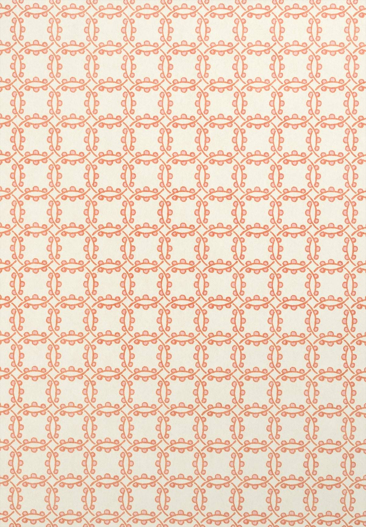 Apricot Wallpapers - Top Free Apricot Backgrounds - WallpaperAccess