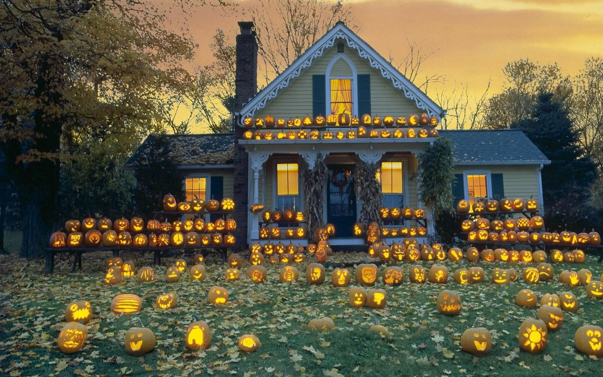 Pumpkin Patch Wallpapers - Top Free Pumpkin Patch Backgrounds ...