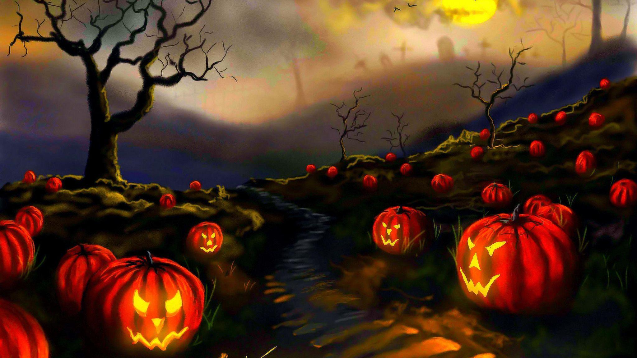 Pumpkin Patch Wallpapers - Top Free Pumpkin Patch Backgrounds ...