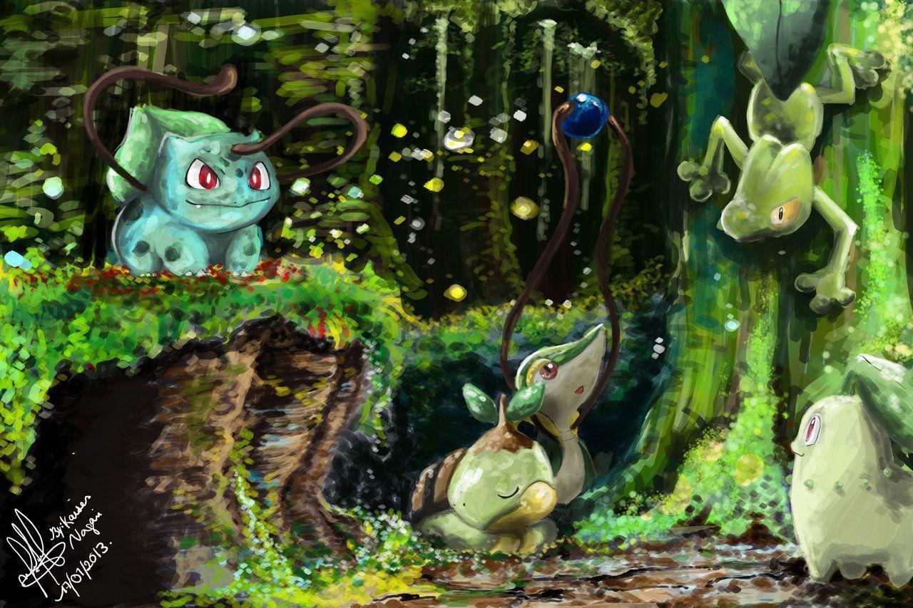 Pokémon Forest Wallpapers - Top Free Pokémon Forest Backgrounds ...