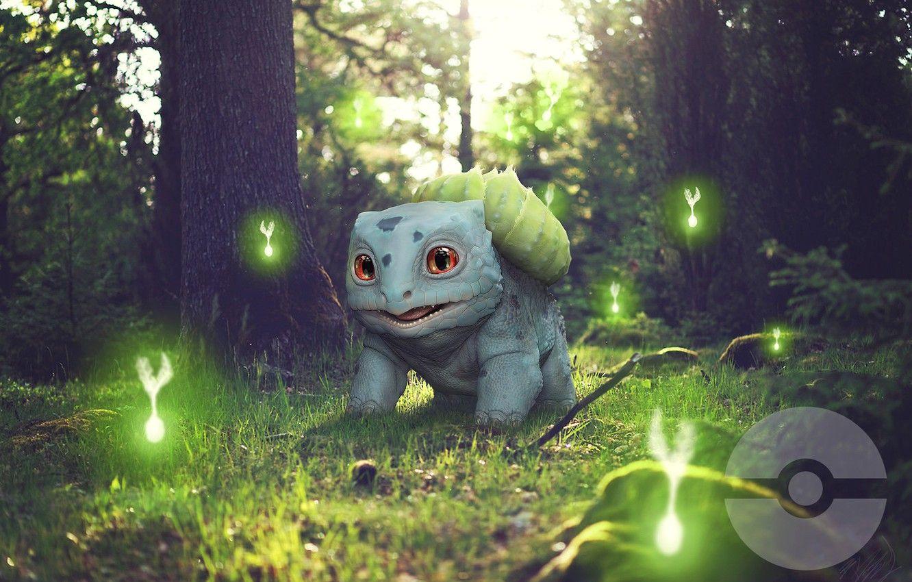 Pokémon Forest Wallpapers - Top Free Pokémon Forest Backgrounds ...
