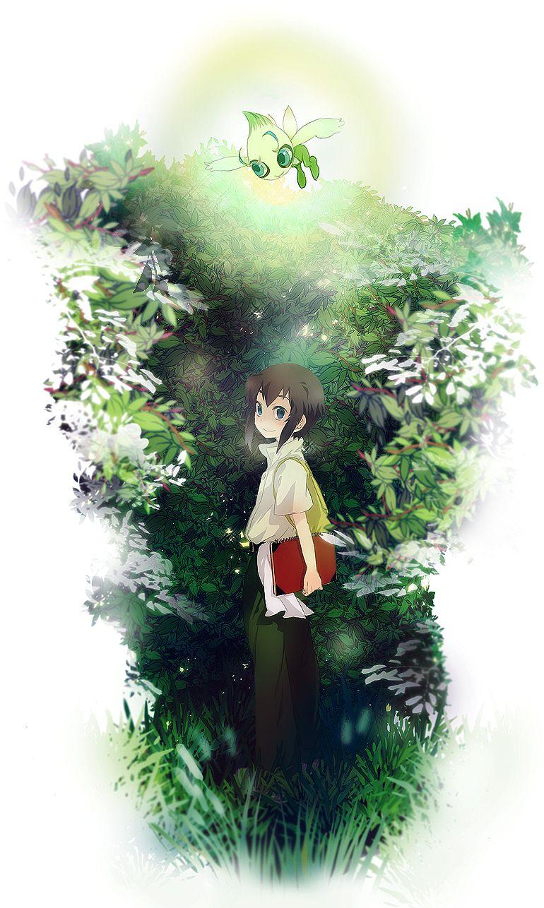Pokemon Forest Background Anime Style